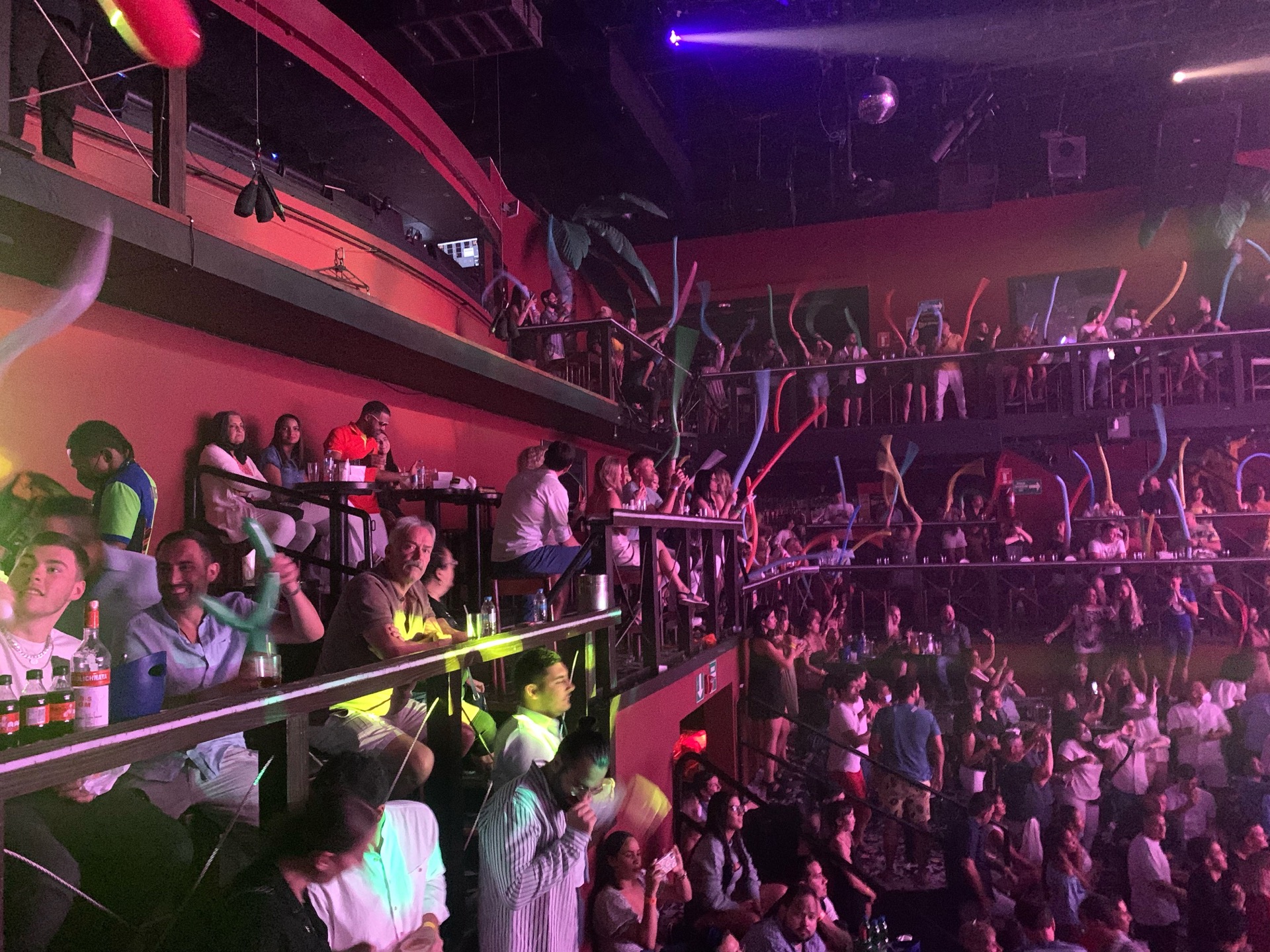 Coco Bongo :: sweetdominica.com